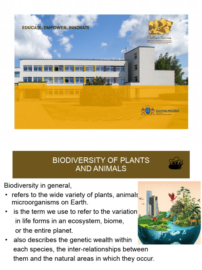 Grade 11 Life Sciences Term 2 | PDF | Homeostasis | Breathing