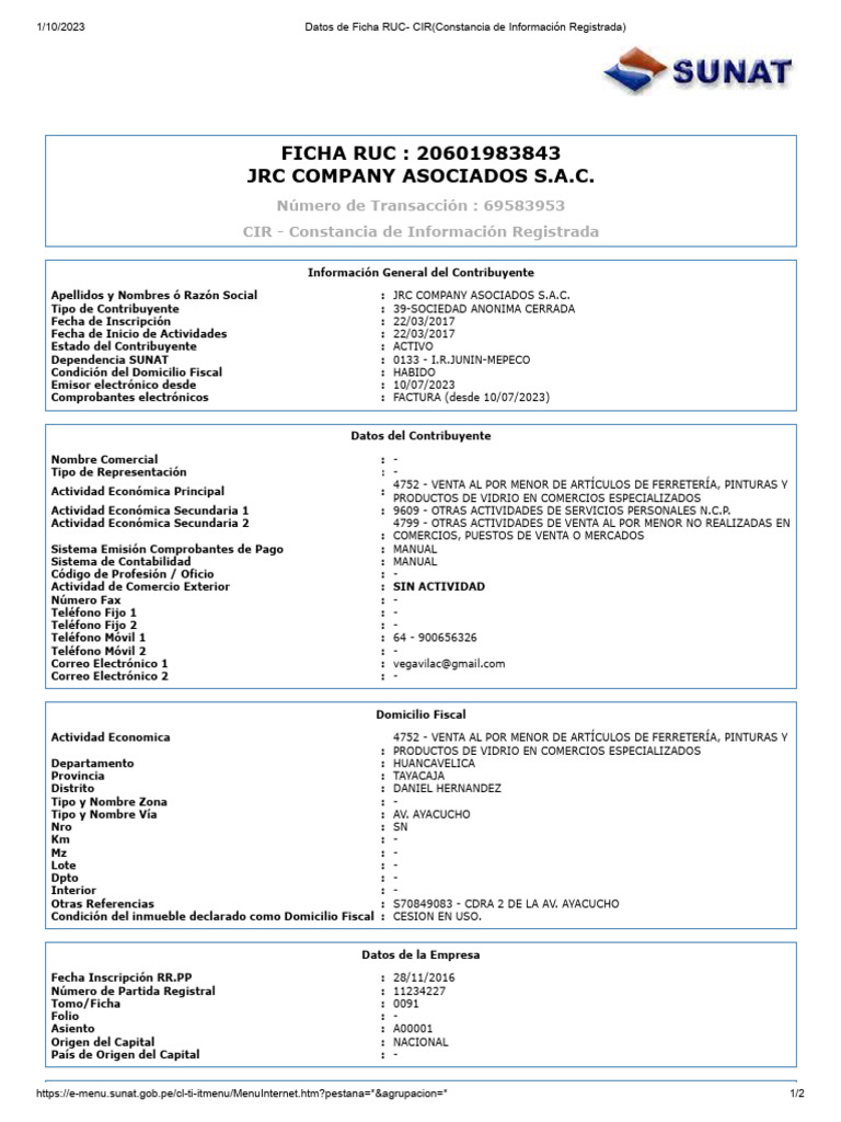 Ficha Ruc | PDF | Al por menor