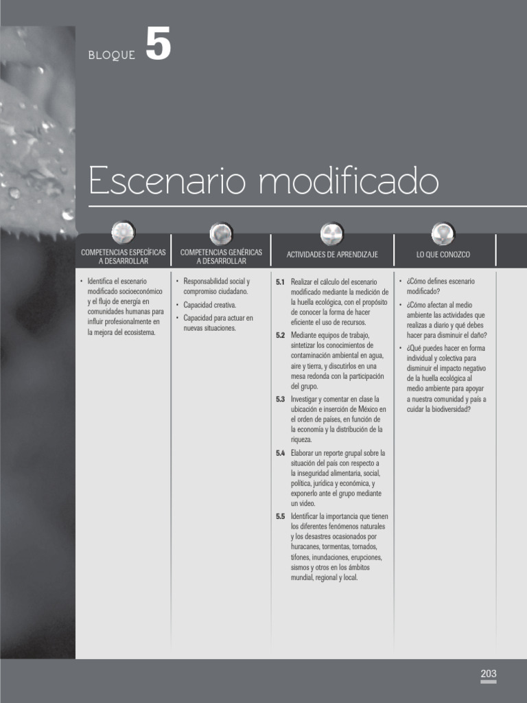 Desarrollo Sustentable_Escenario Modificado | PDF | Industrialización ...