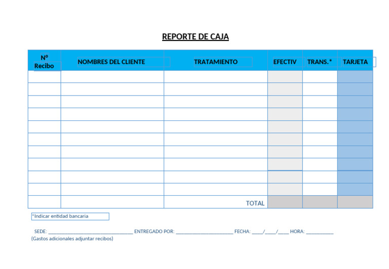 Reporte de Caja Plantilla | PDF