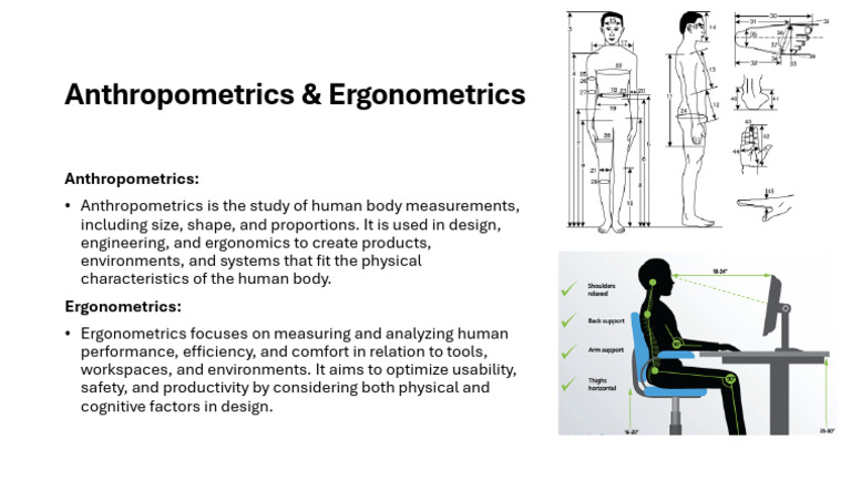 Anthropometrics & Ergonometrics | PDF