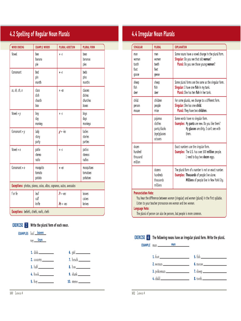 Plural Rules - 6º Ano | PDF