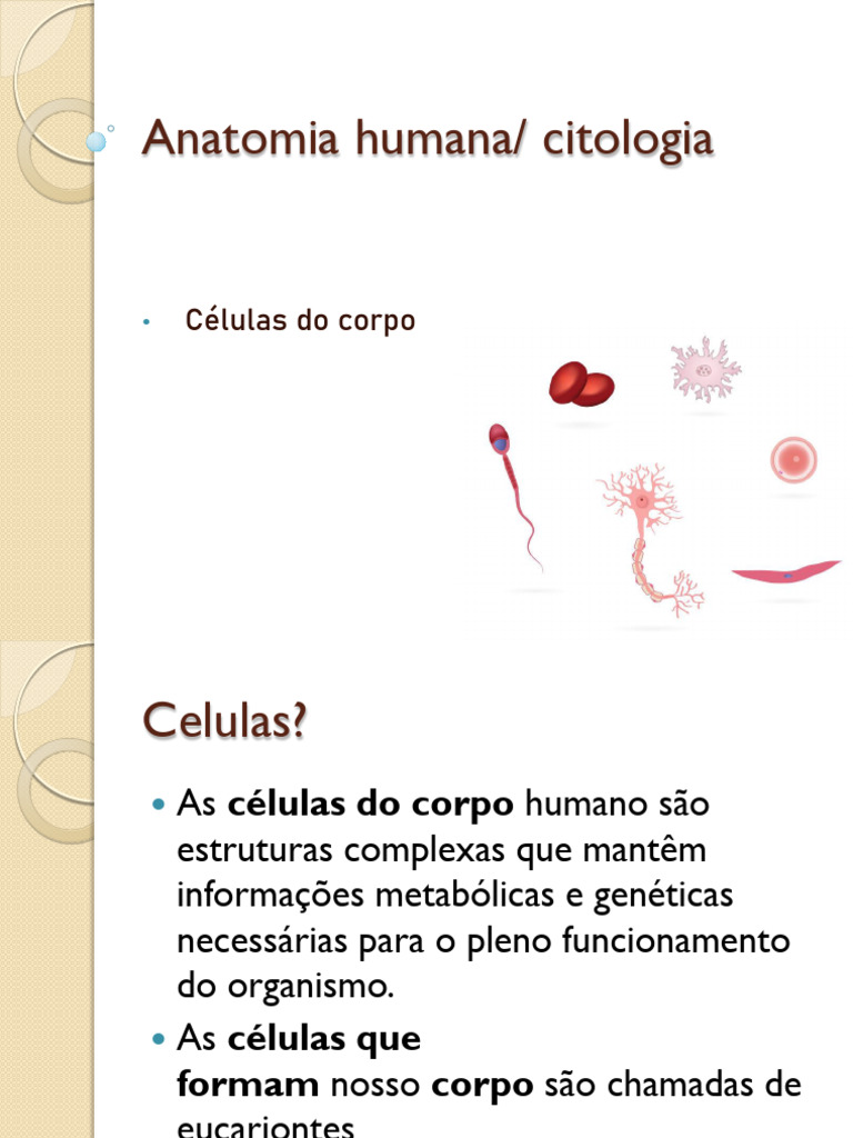 Citologia Genética e Divisão Celular | PDF