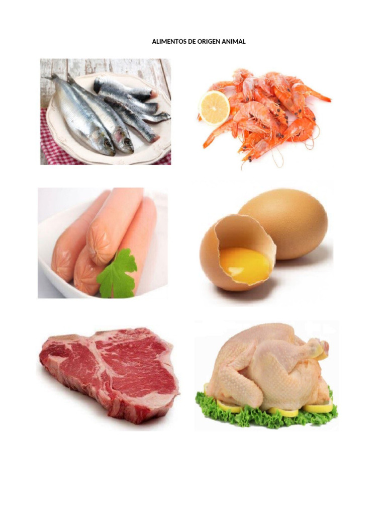 Alimentos de Origen Animal | PDF