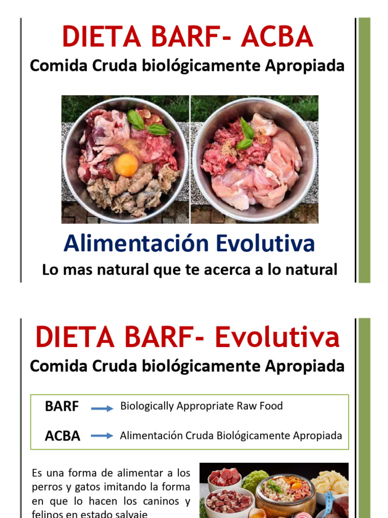 Comida Barf | PDF | Dieta | Alimentos