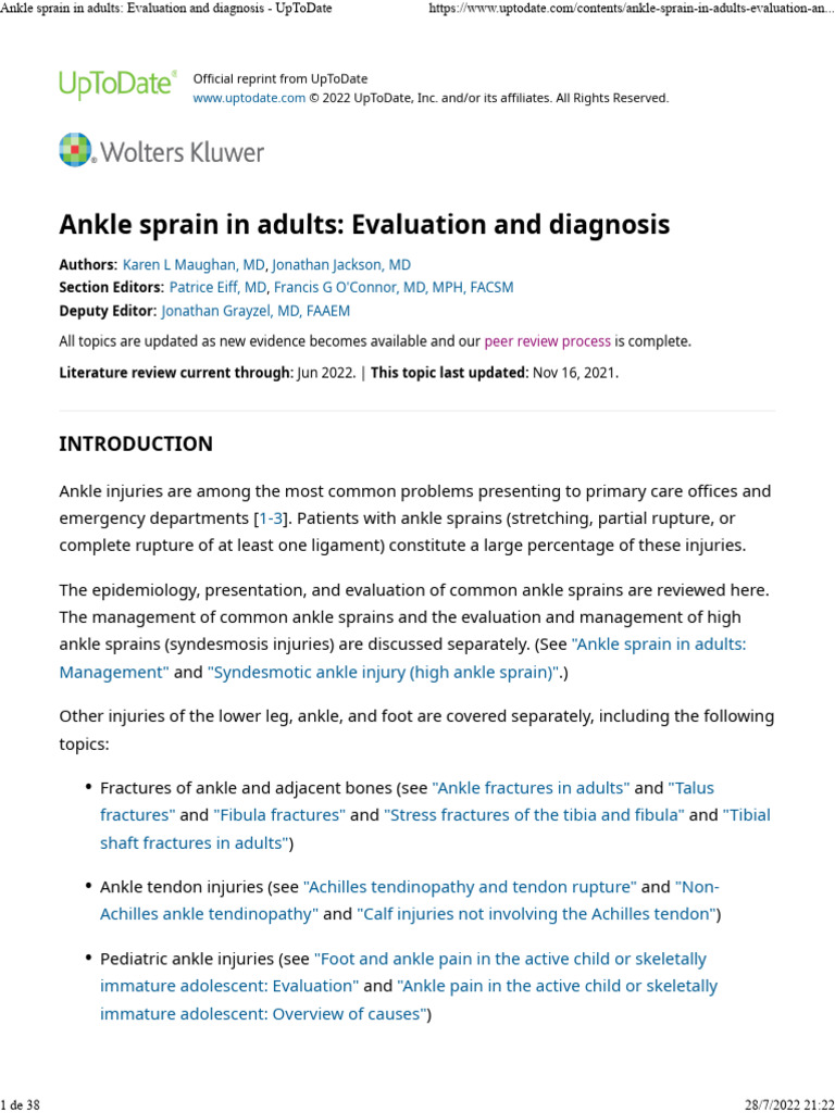 Ankle Sprain Evaluation in Adults | PDF | Ankle | Injury