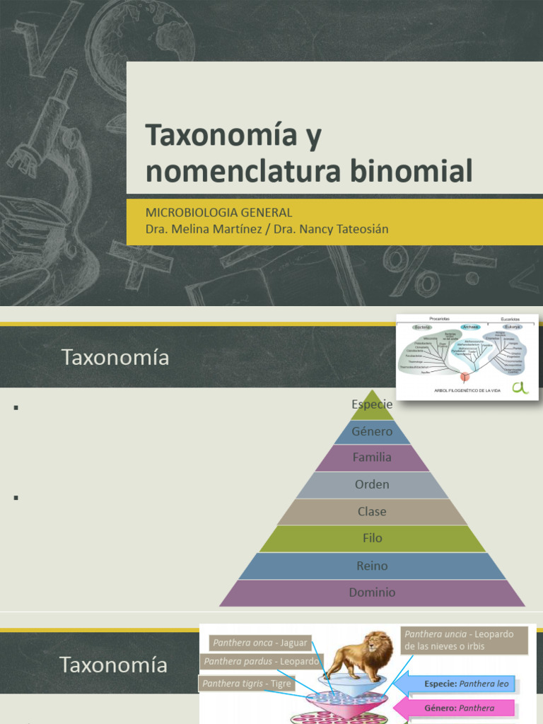 Taxonomia y Nomenclatura Binomial (1) - 16h - Oficio - SF | PDF | Las bacterias | Taxonomía ...