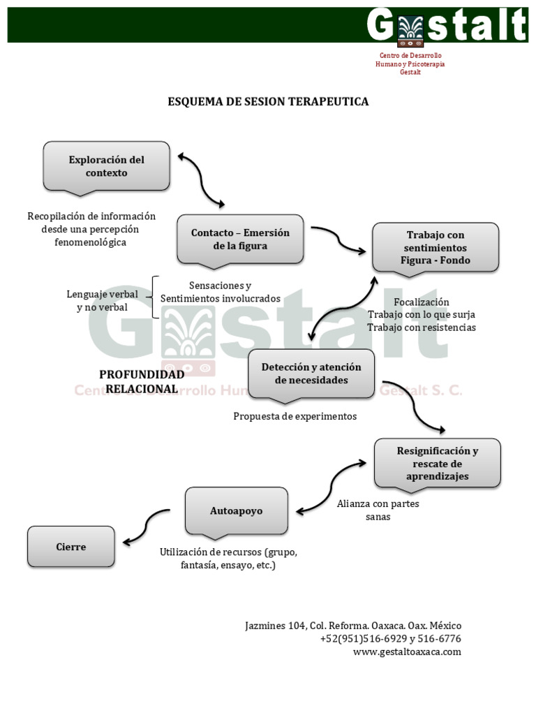 Esquema de Sesion Terapeutica | PDF | Procesos mentales | Psicoterapia