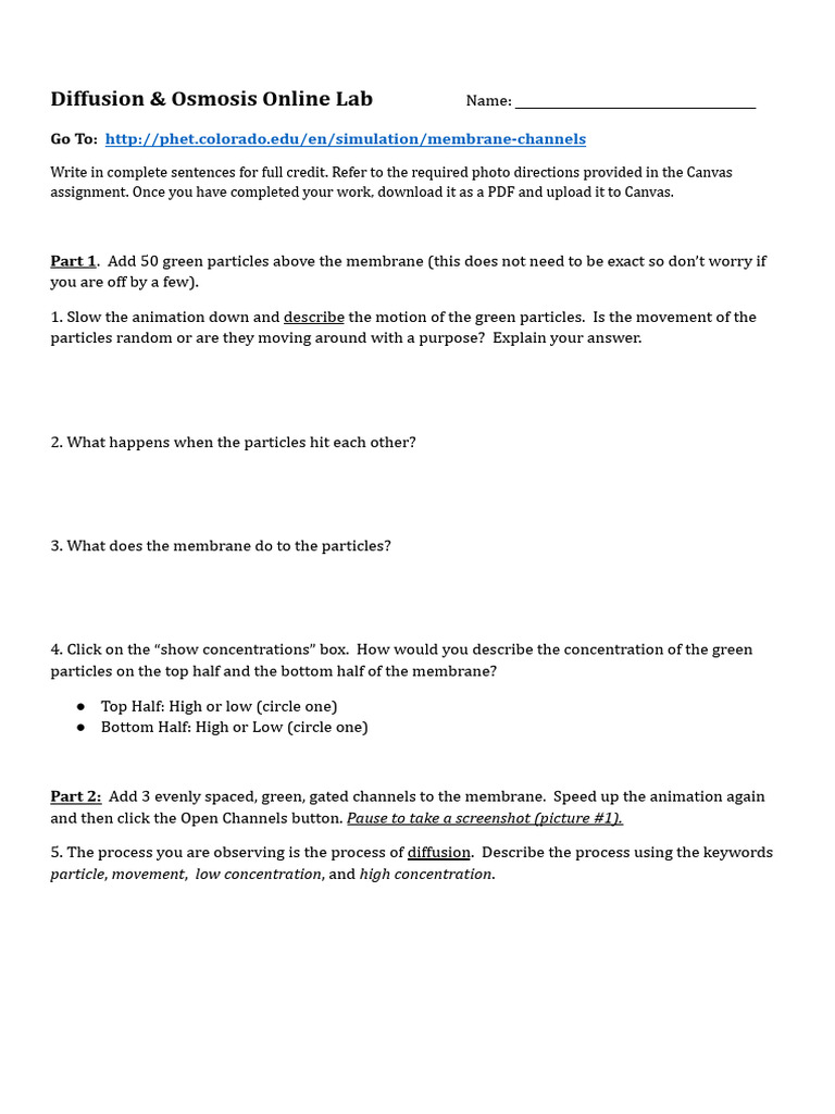 Diffusion & Osmosis Online Lab-1 | PDF | Applied And Interdisciplinary Physics | Scientific ...