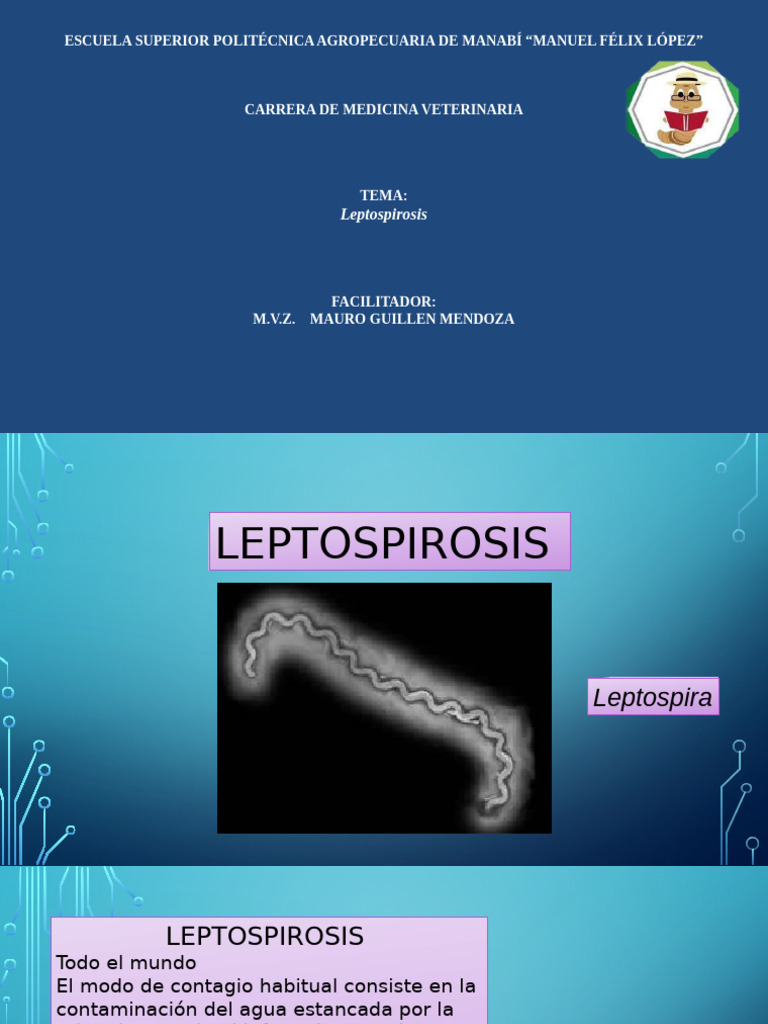 3 Leptospirosis Presentacion | PDF