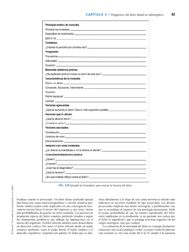 Anam Dolor | PDF