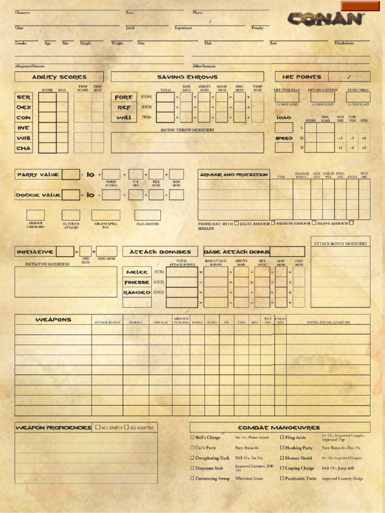 Conan Char Form | PDF