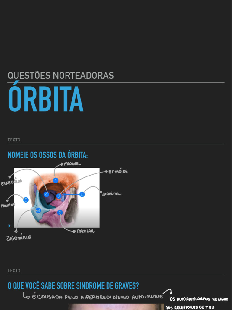 Anatomia da Órbita Ocular e Condições Relacionadas | PDF ...