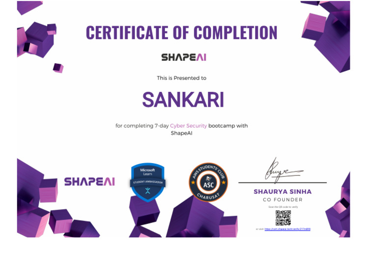 Shapeai 5 | PDF