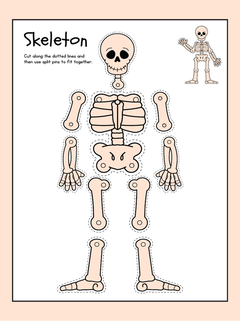 Make Your Own Skeleton Poster in Pink Lined Style | PDF