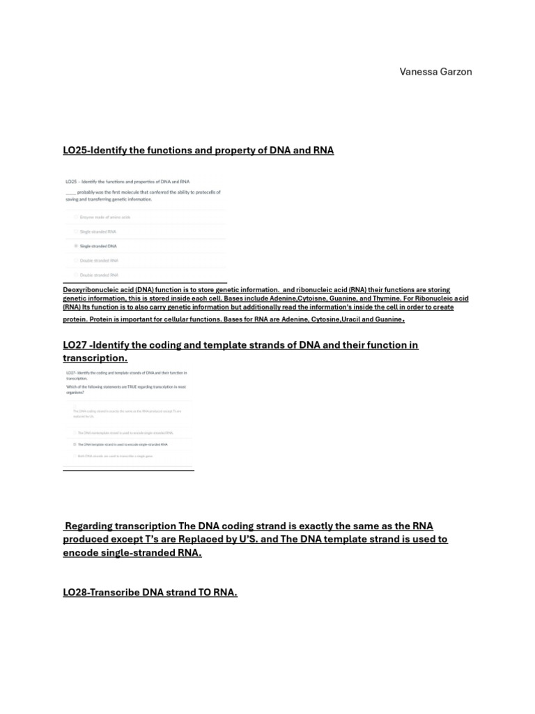 Evidence 2 Vanessa Garzon... | PDF | Rna | Dna