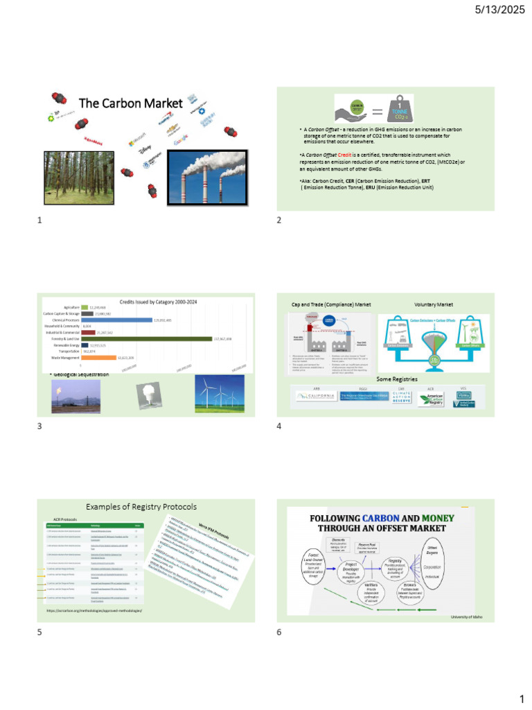 2025 Carbon Offset Presentation | PDF | Carbon Sequestration | Environmental Social Science
