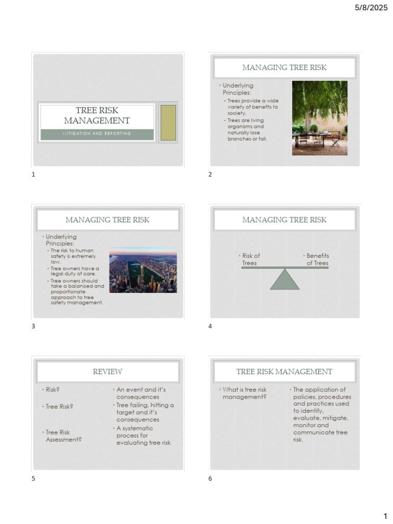 11 Tree Risk Analysis - Mitigation and Reporting | PDF | Risk | Risk ...