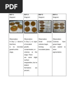 Life Sciences Term 1 2025 Grade 11 Task 1 Practical Memo-Akbvzr (1 ...
