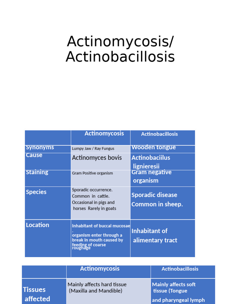 Actinomycosis Bacillosis | PDF | Diseases And Disorders | Medical Specialties
