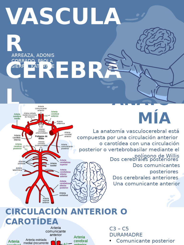 Enfermedad Vascular Cerebral | PDF | Carrera | Isquemia