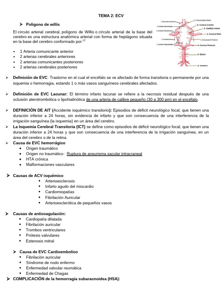Quiz Evc | PDF | Carrera | Isquemia