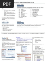 S P Capital IQ Excel Plug-In Template Guide | PDF | Macroeconomics ...
