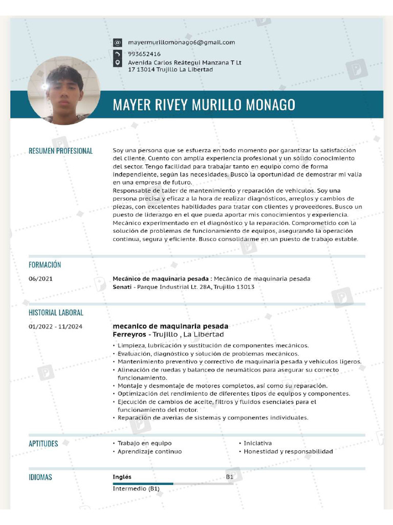 Currículum - Mayer Murillo Monago | PDF