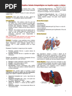 Anatomia do Fígado e Suas Estruturas | PDF | Fígado | Hepatócito