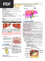 Anatomia das Vísceras Humanas | PDF | Corpo humano | Anatomia
