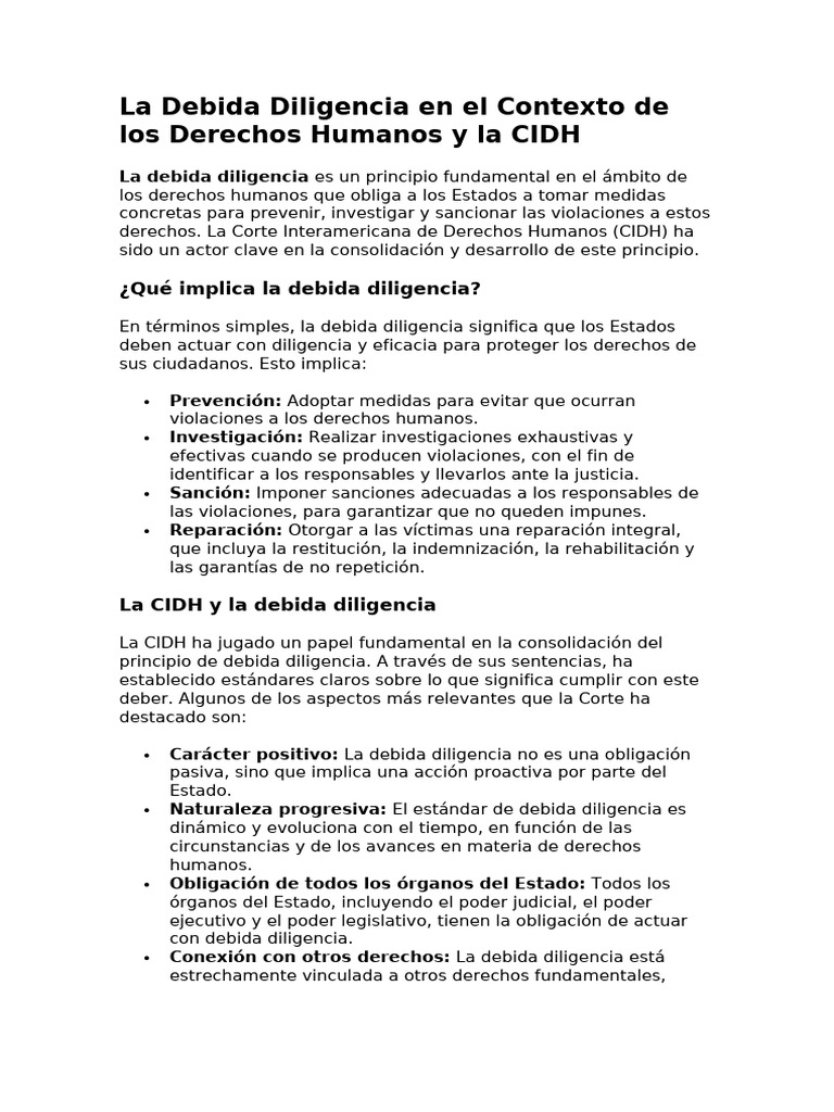 La Debida Diligencia en El Contexto de Los Derechos Humanos y La CIDH | PDF | Derechos humanos ...