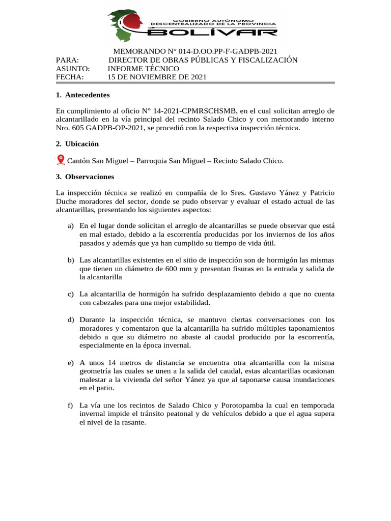 Inspeccion Salado Chico | PDF | Ingeniero civil