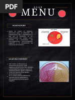 Tipos de Agares | PDF | Patologia clinica | Organismos