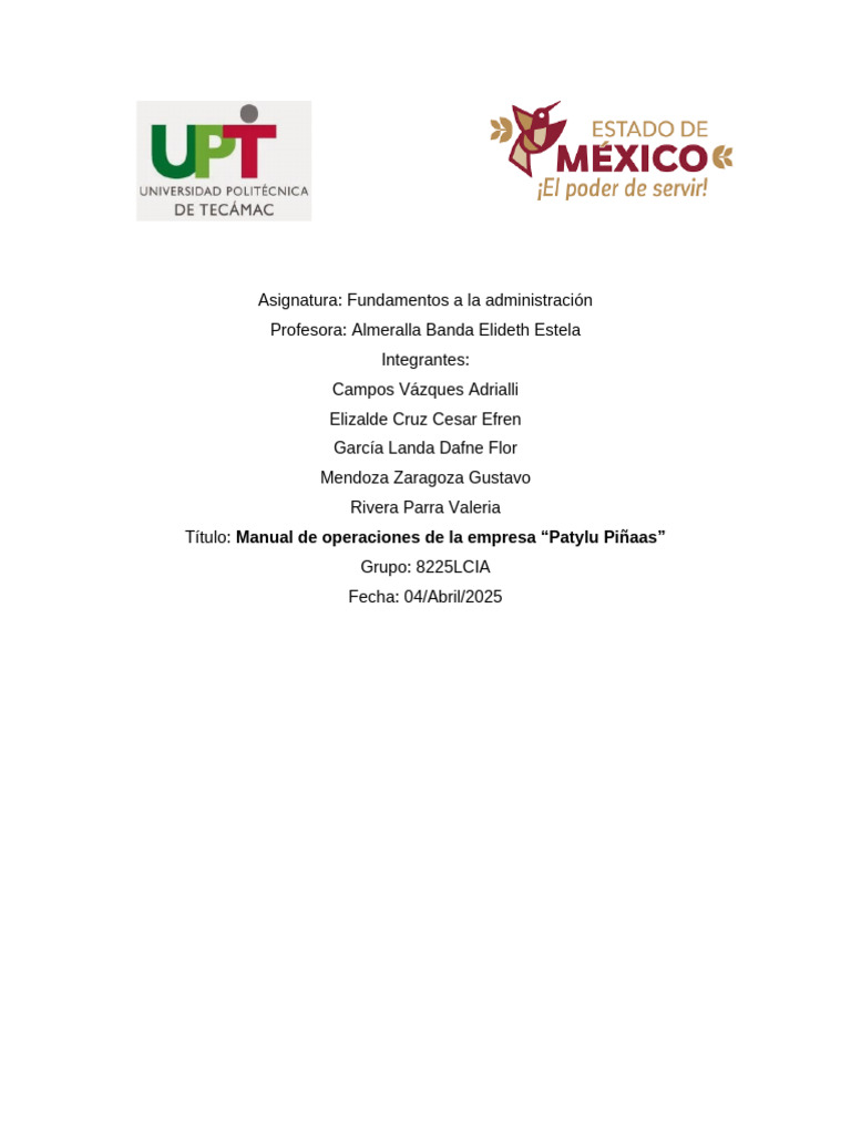 Manual de Operaciones de Patylu Piñatas | PDF | Marketing | Calidad ...