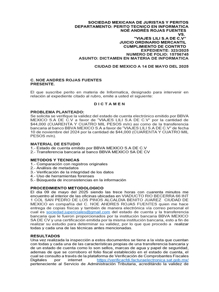 Dictamen Informatica | PDF | México