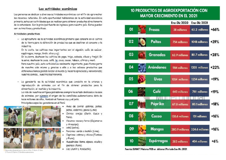 Fichas para Imprimir 7 Ps | PDF