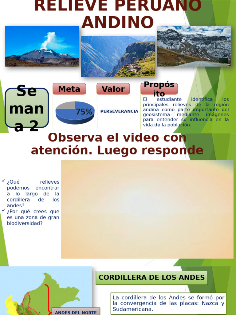 Relieve Andino Peruano | PDF | Andes | Volcán