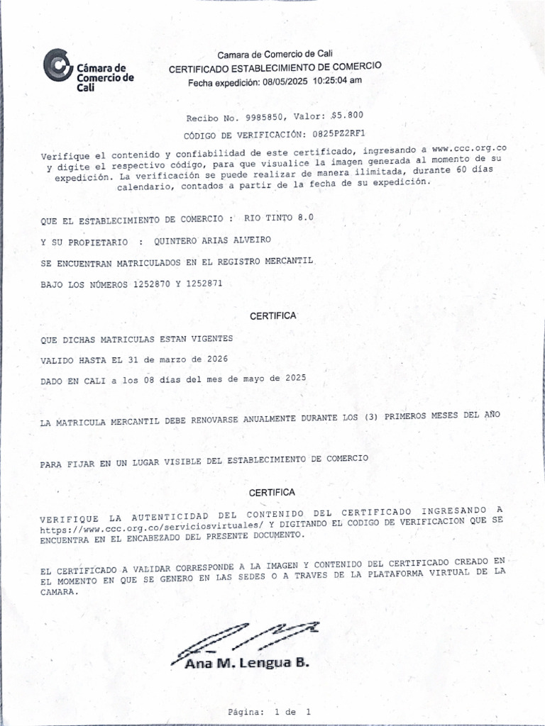 Documento Escaneado | PDF