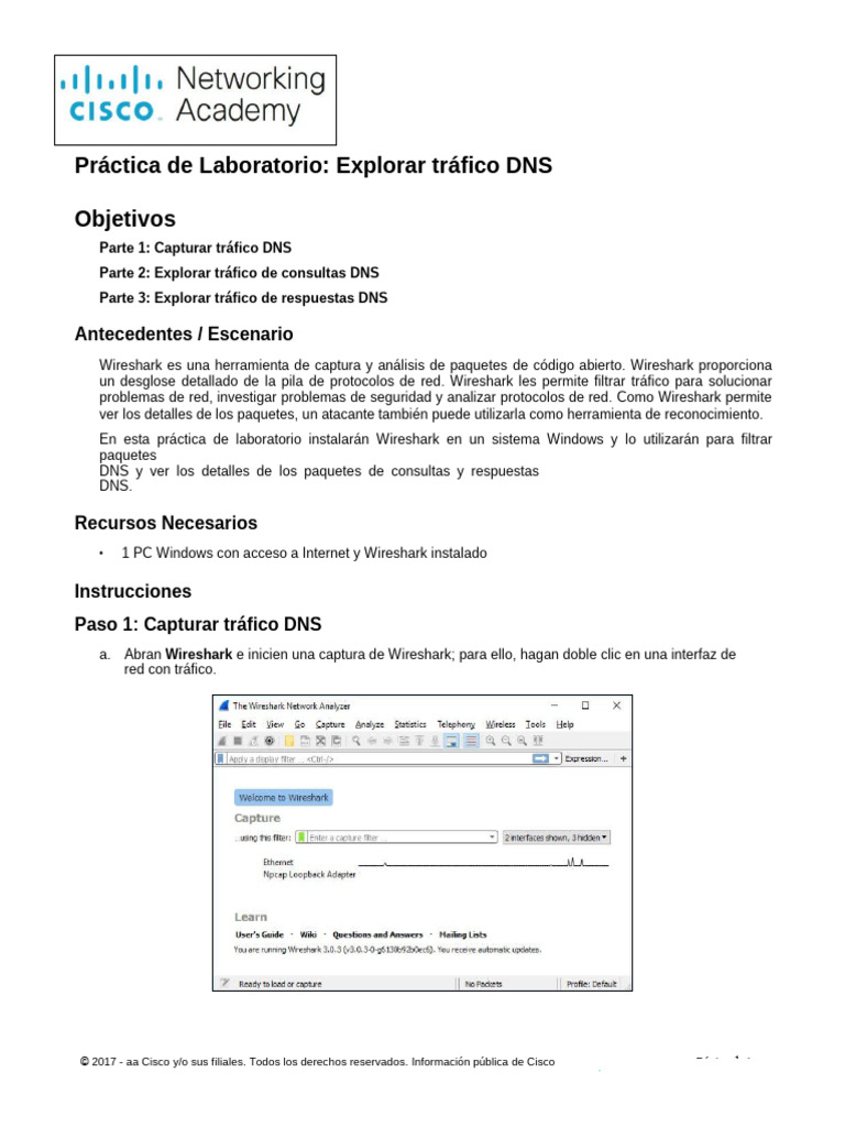 3.8.8 Lab - Explore Dns Traffic - Es XL | PDF | sistema de nombres de ...