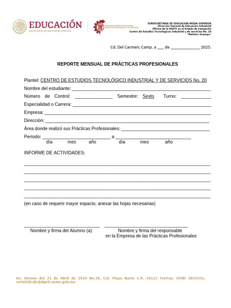 Reporte Mensual Prácticas Profesionales | PDF