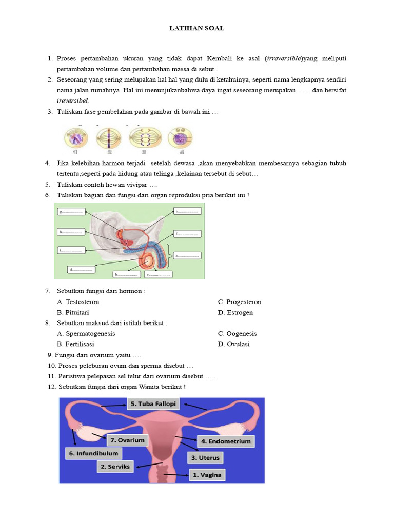 Latihan Soal Asts Ix | PDF