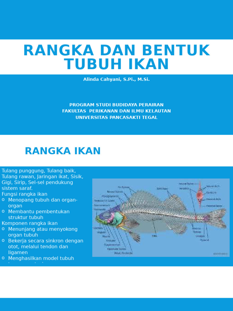 Rangka Dan Bentuk Tubuh Ikan | PDF