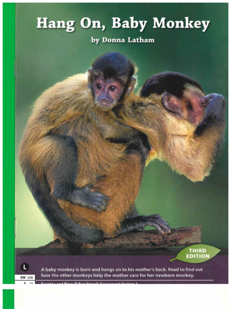 (L Box 2) Hang On, Baby Monkey (NF) | PDF