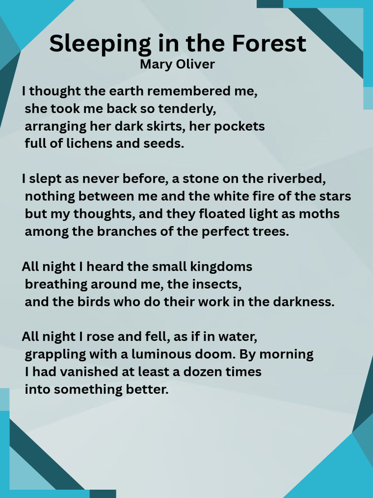 Sleeping in The Forest Mary Oliver Poem | PDF