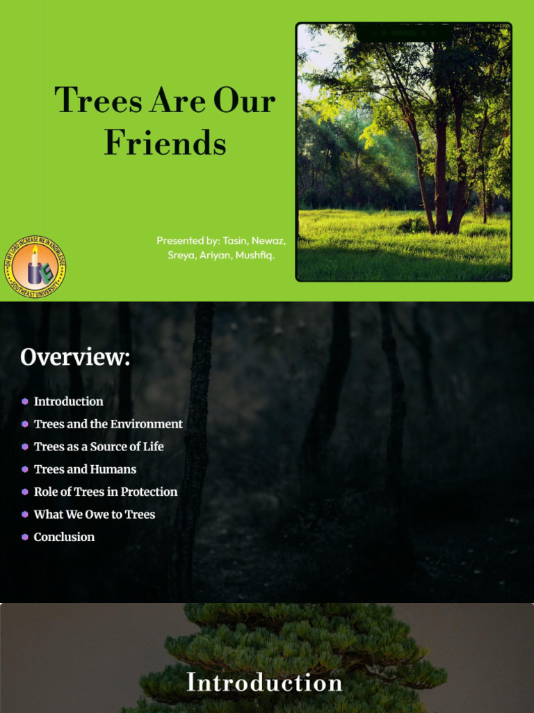 Presentation1 (1) | PDF