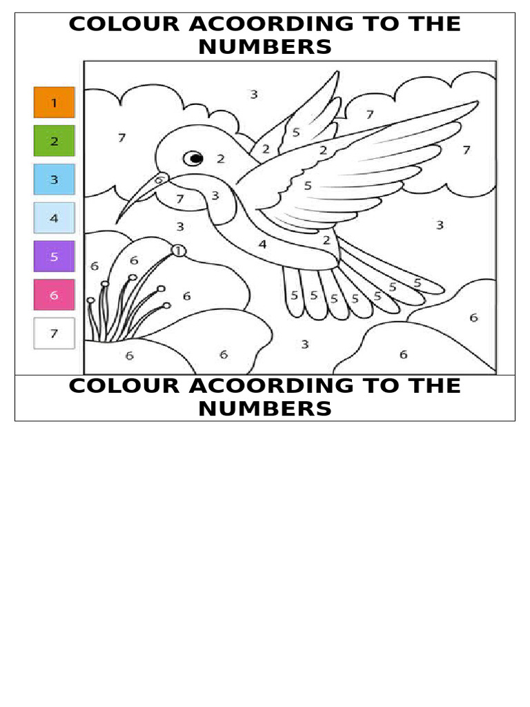 Colour Acoording To The Numbers | PDF