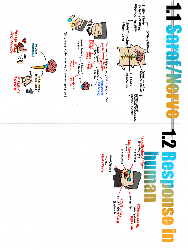 Answer f3 Science B Iqbal 5 Mac 2025 - Iqbal Ahyar | PDF