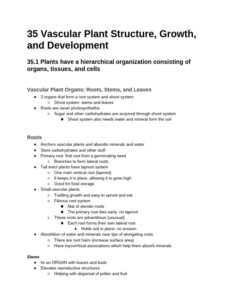 Vascular Plant Structure and Growth Overview | PDF | Plant Stem | Leaf