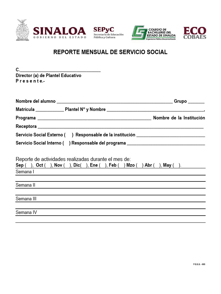 Reporte Mensual De Servicio Social Pdf