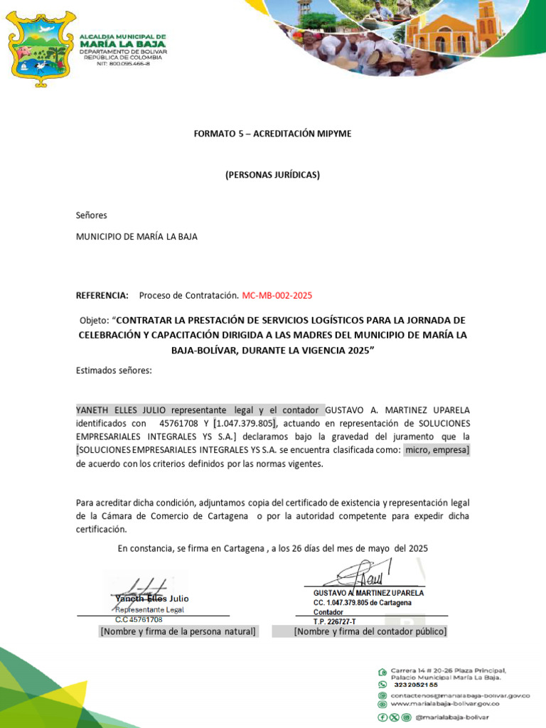FORMATO 5 ACREDITACION MIPYME | PDF
